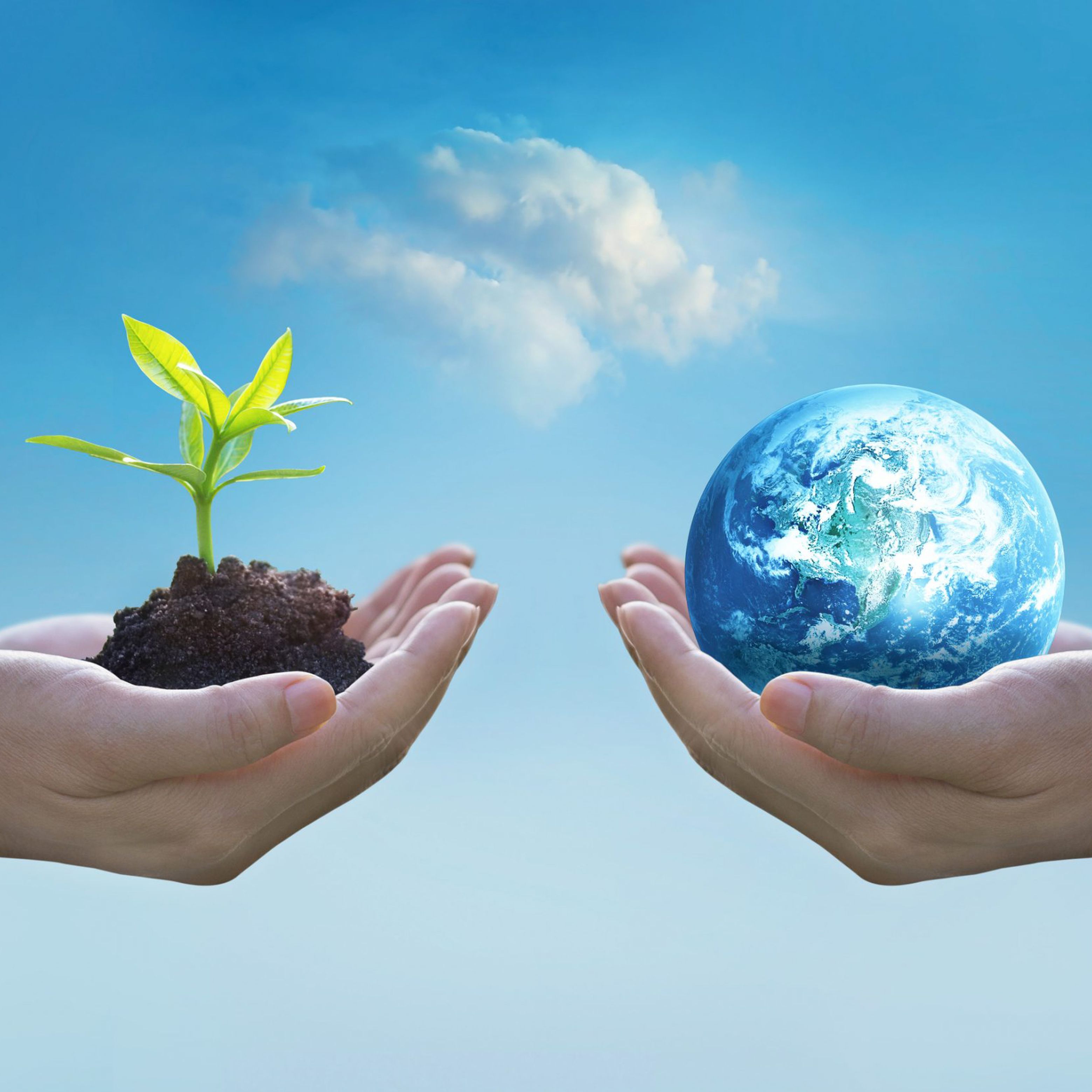 BSc in Environmental Science program - Best College in Bangalore